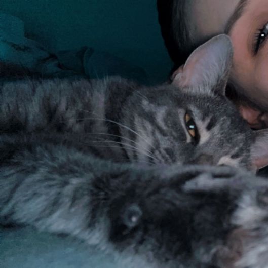 Professional Cuddler in Kent, Ohio | YourFavkeri