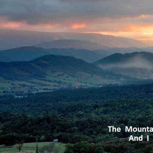 Cuddle Buddy in Hudson, Florida | waynewv