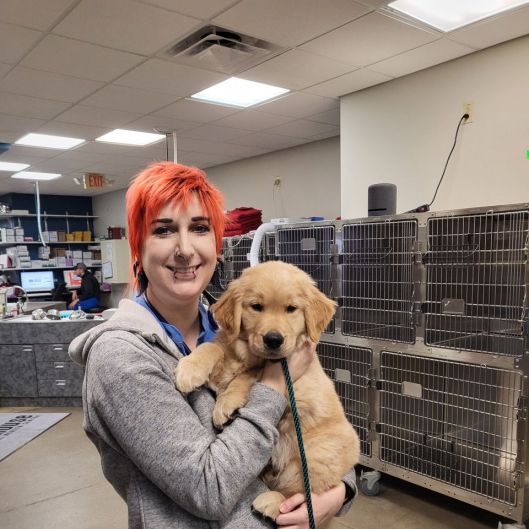 Professional Cuddler in Austin, Texas | AlsoCuddlesCats