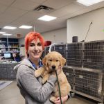 Professional Cuddler in Austin, Texas | AlsoCuddlesCats