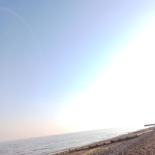 Cuddle Buddy in Bexhill on Sea, England | Africancuddlequ