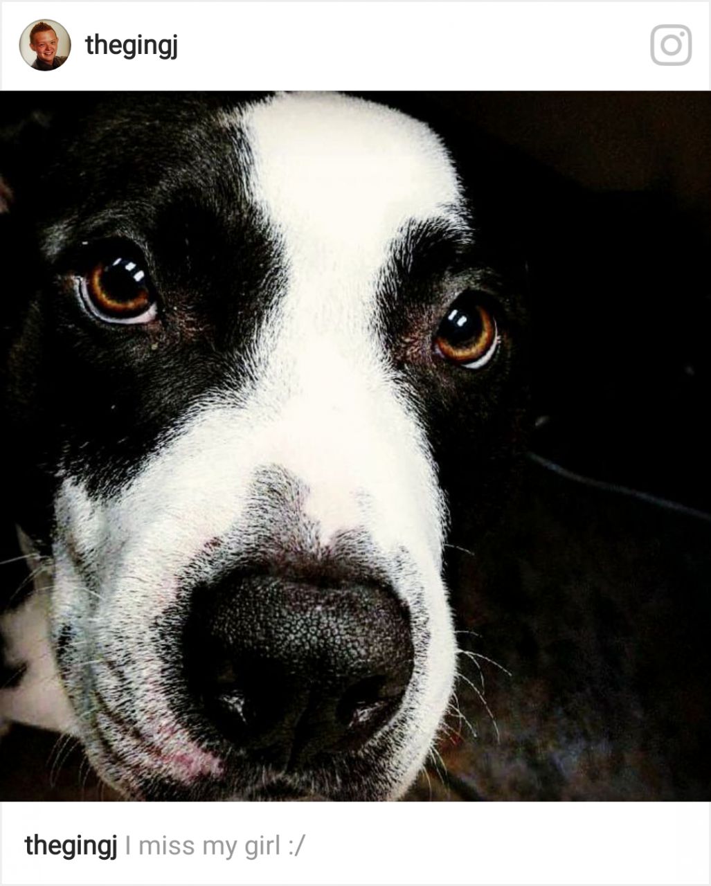 Cuddle Buddy in Apple Valley, Minnesota | mhanson2012