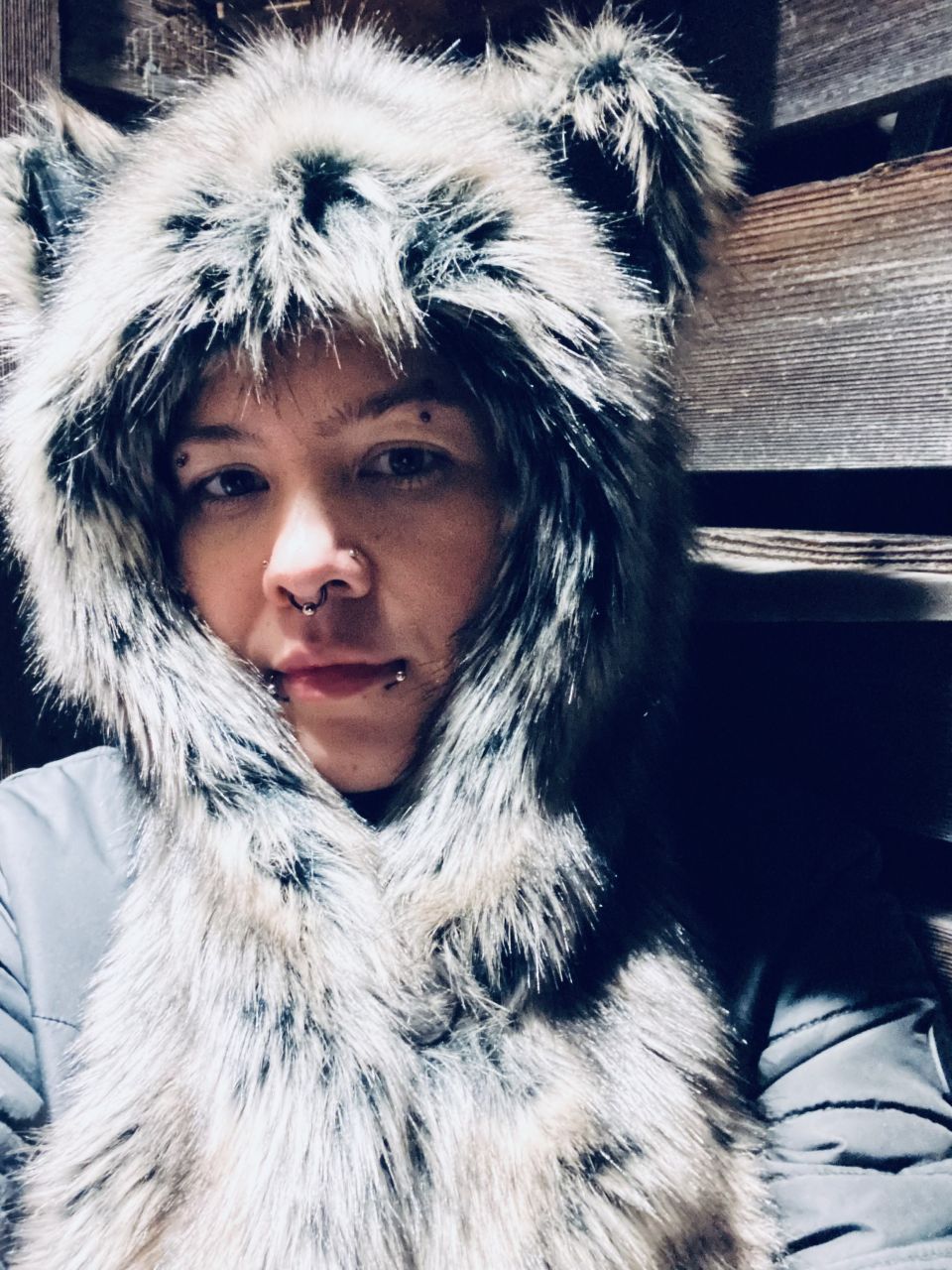 Professional Cuddler in Chicago, Illinois, US | Cuddle_bug_2023