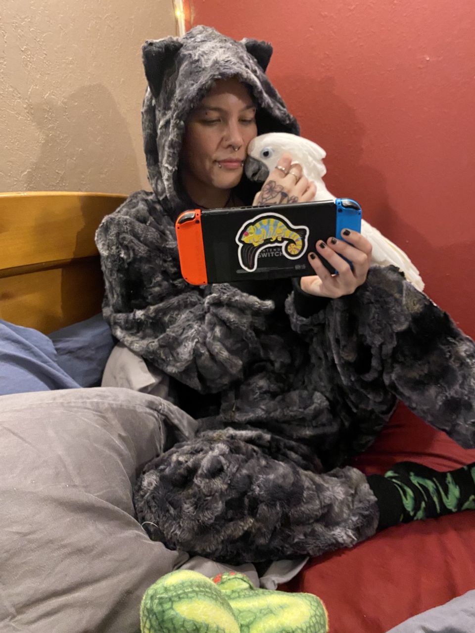 Professional Cuddler in Chicago, Illinois, US | Cuddle_bug_2023