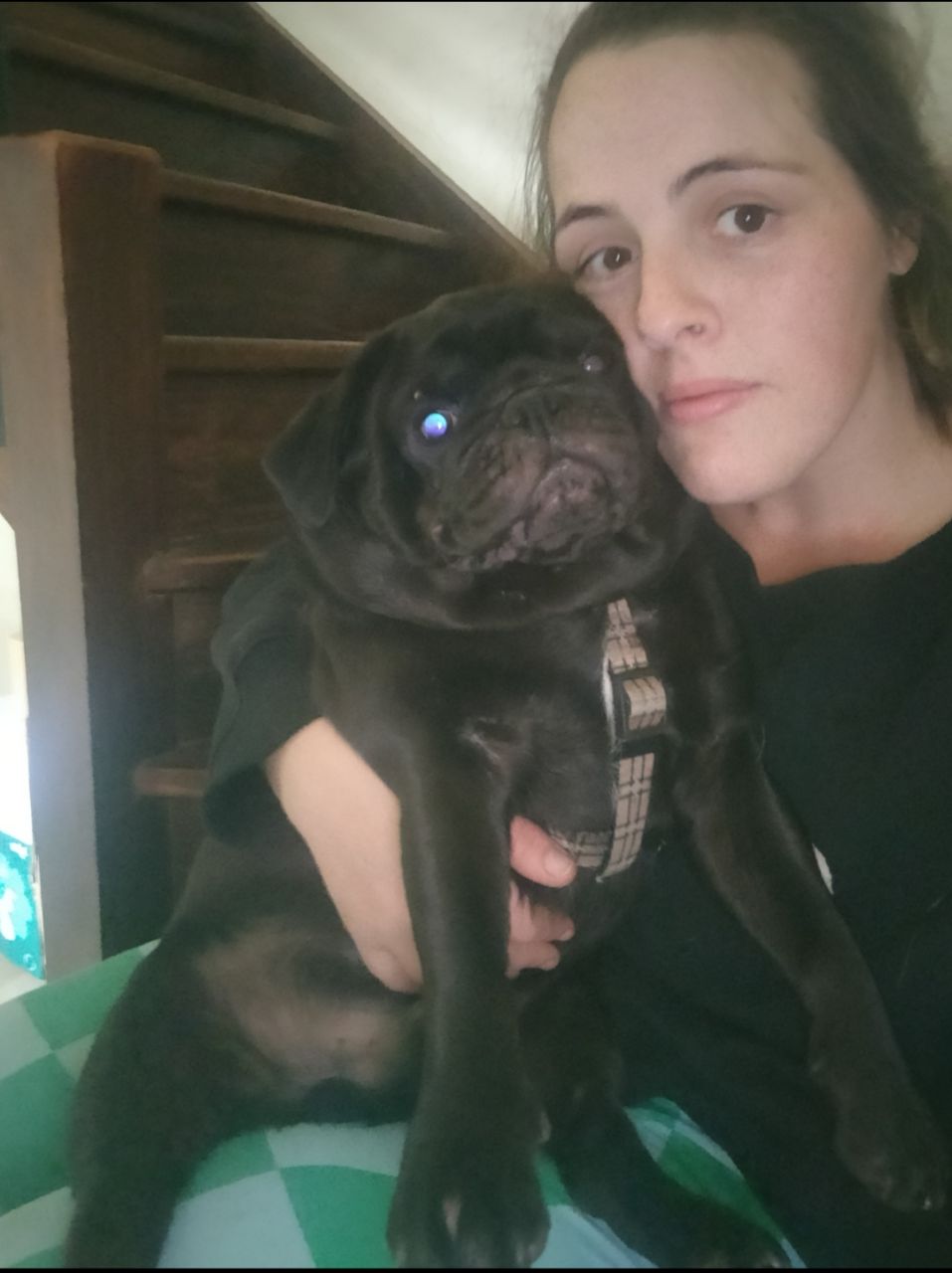 Professional Cuddler in Melbourne, Victoria, AU | smus101