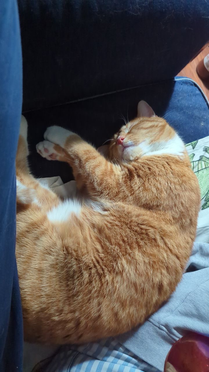 Professional Cuddler in Inver Grove Heights, Minnesota | CuddlewithDez