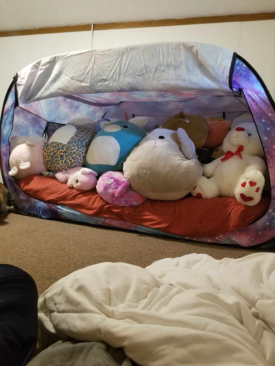 Cuddle Buddy in Grand Rapids, Michigan | cnvmgr