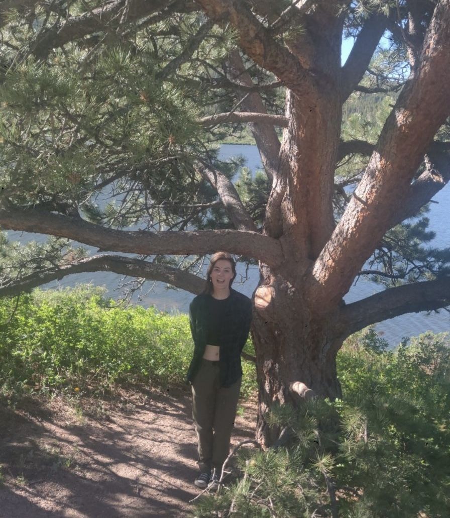 Professional Cuddler in Orem, Utah | sunset_cuddler