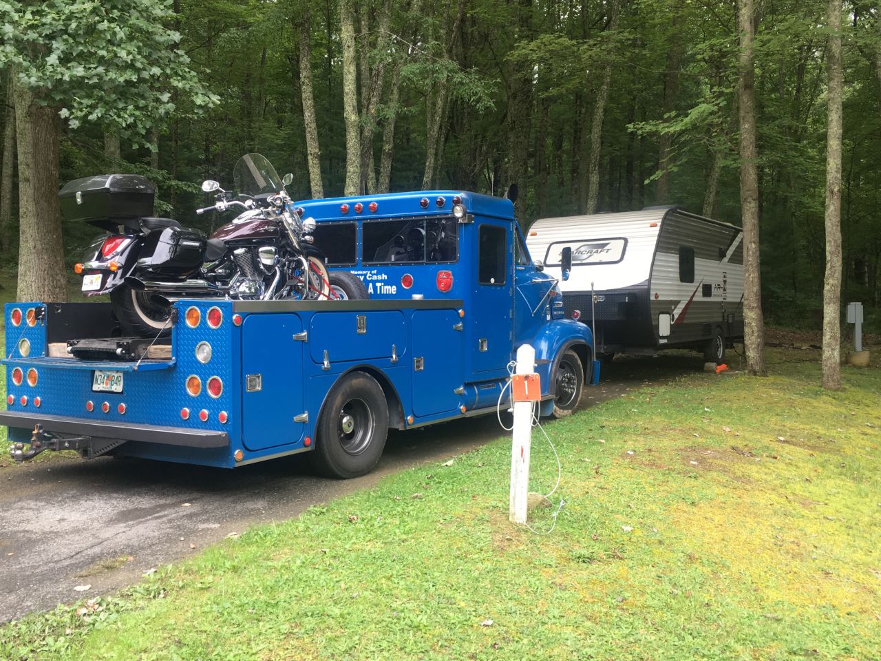 Cuddle Buddy in Hudson, Florida | waynewv