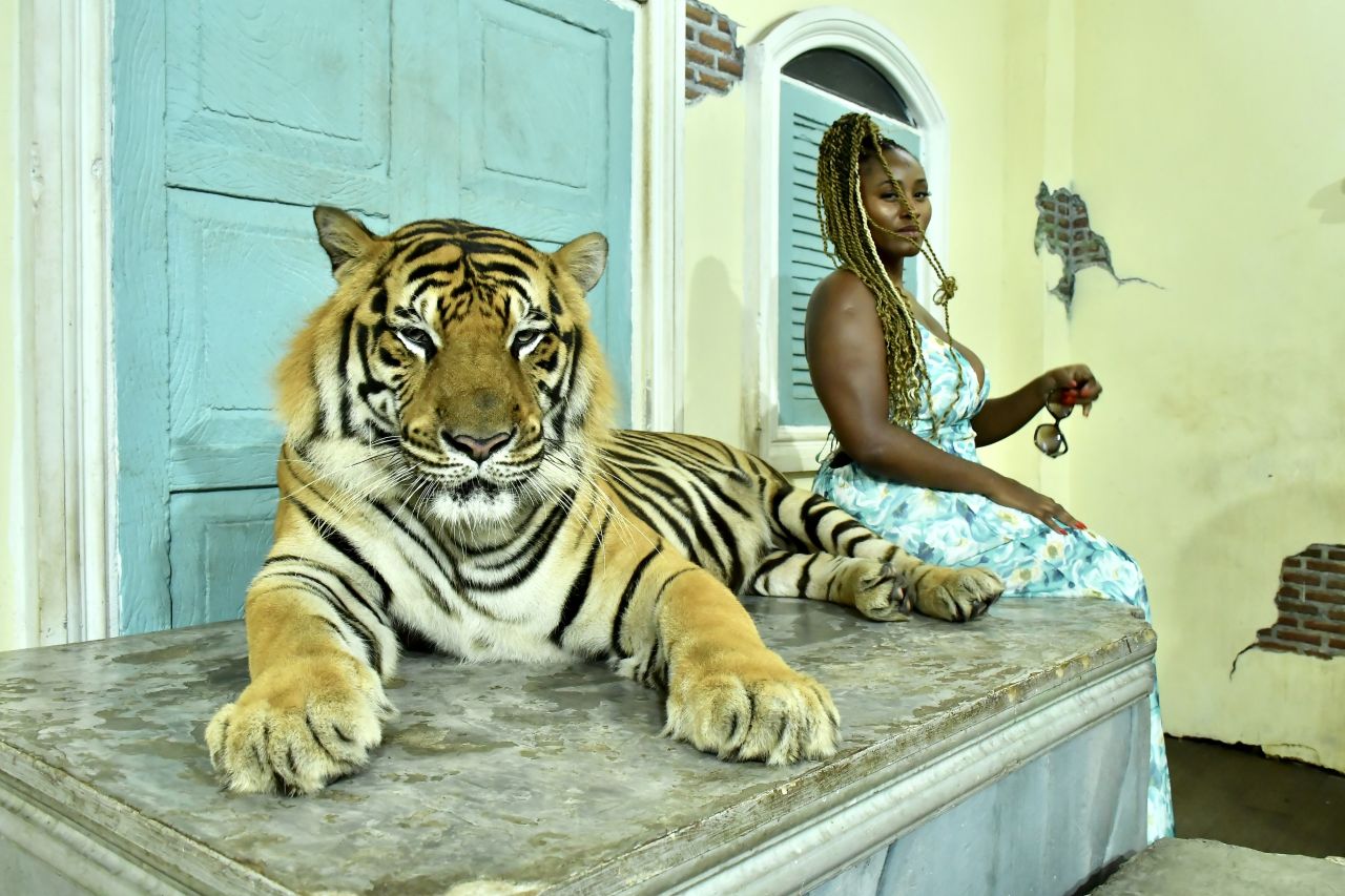 Professional Cuddler in Seattle, Washington | Princess_Ella