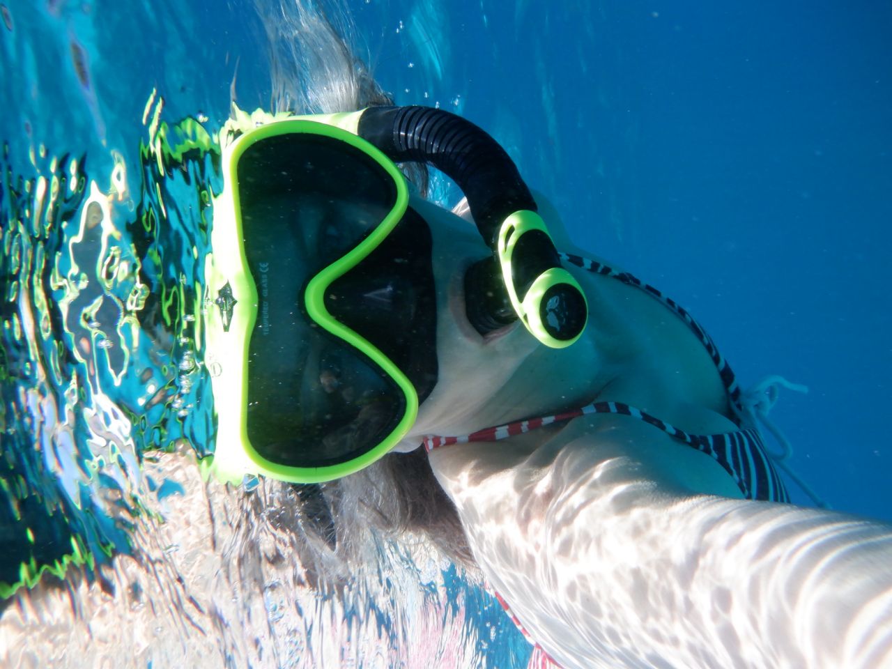 Cuddle Buddy in Newton, Massachusetts, US | Liz77