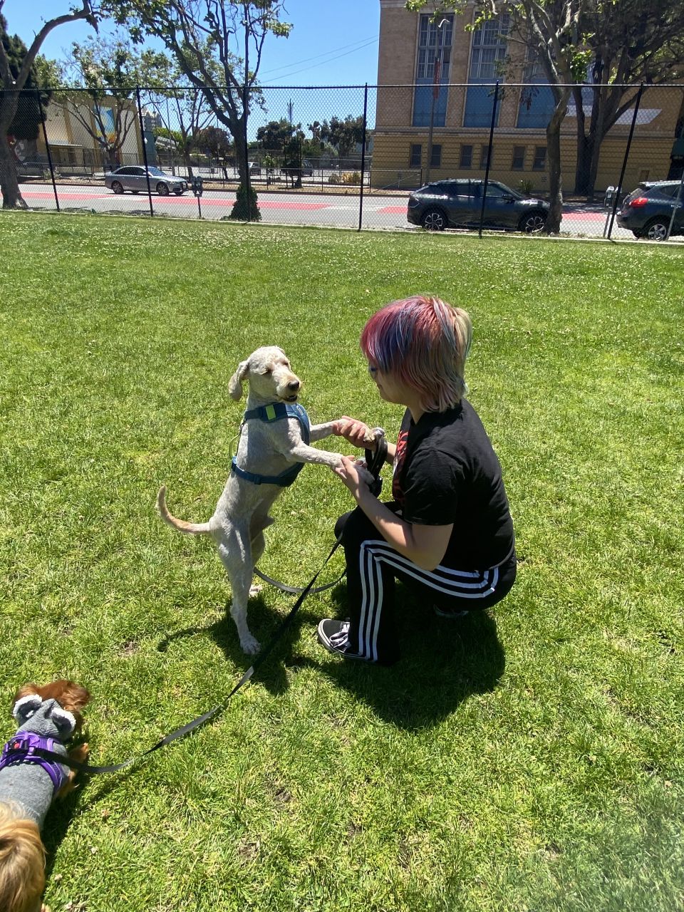 Professional Cuddler in San Francisco, California | alyxreidfrf