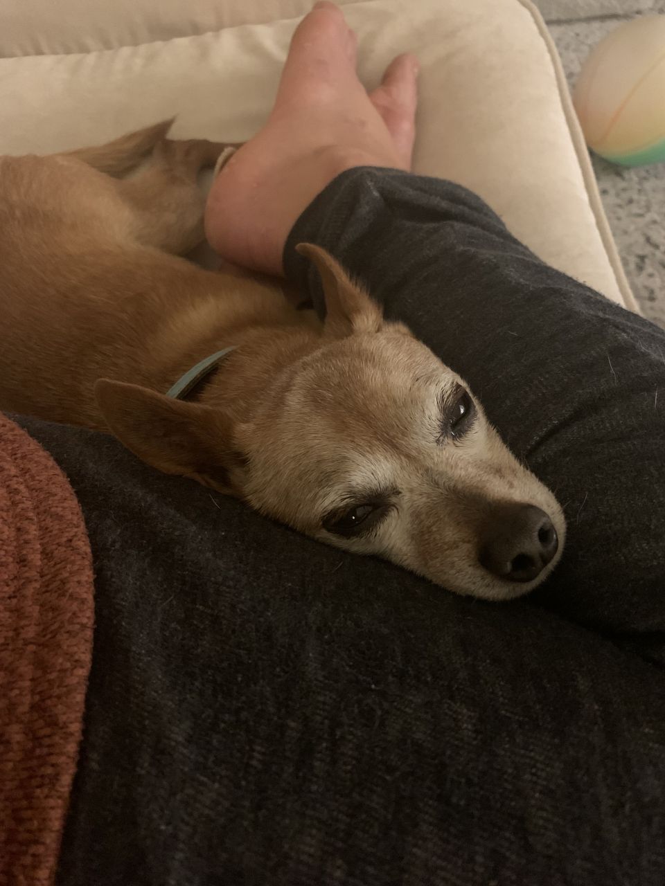 Professional Cuddler in New York, New York | Cjoy8